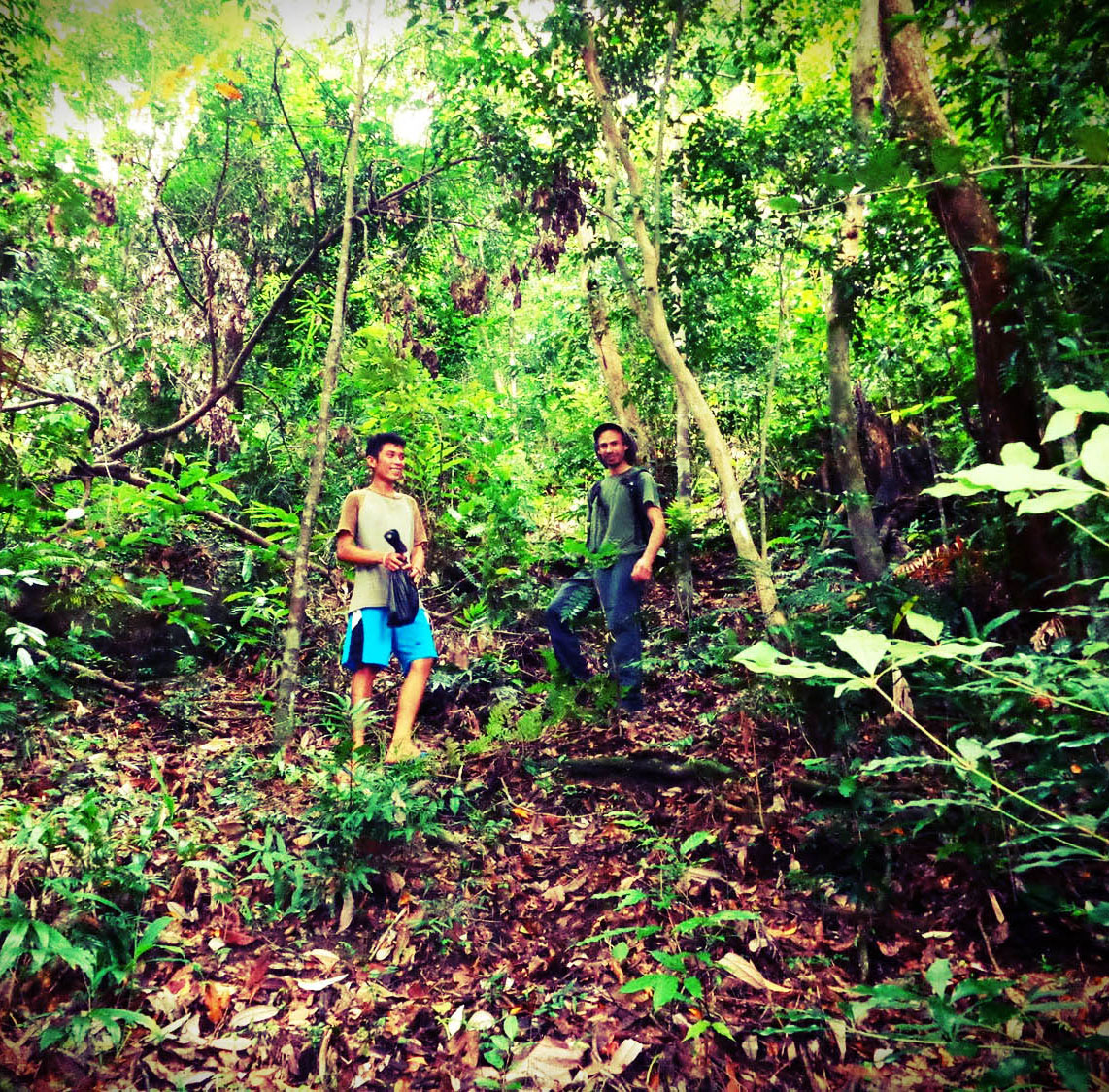 Trek en forêt - Rimba